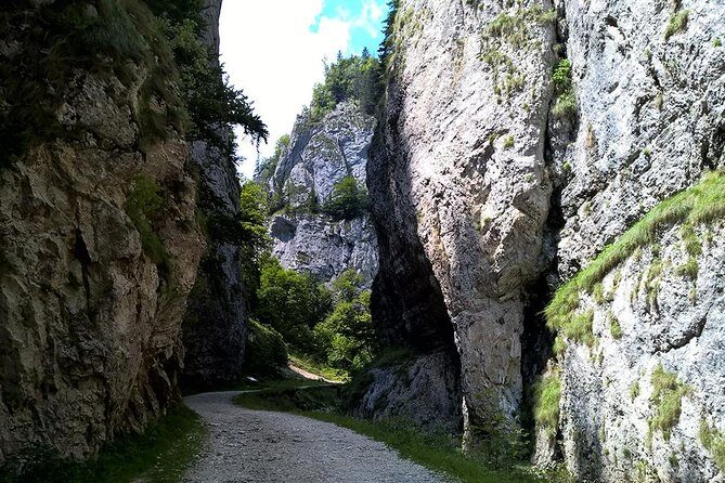 Perfect bike tour around Brasov - The Experience and the Reviews