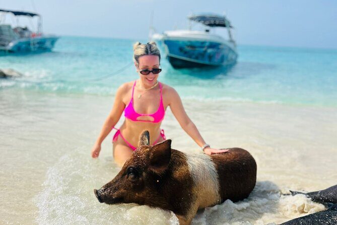 Perfect Day Swimming Pigs, Turtles, Reef Snorkel & Lunch - What Makes This Tour Stand Out?