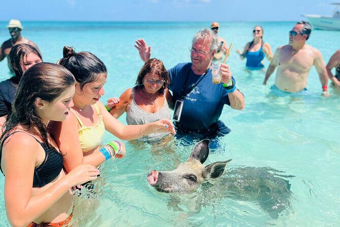 Perfect Day Swimming Pigs, Turtles, Reef Snorkel & Lunch - FAQs