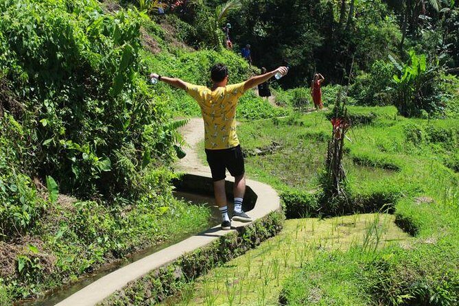 Perfect Day Trip to Ubud - Why Choose This Ubud Tour?