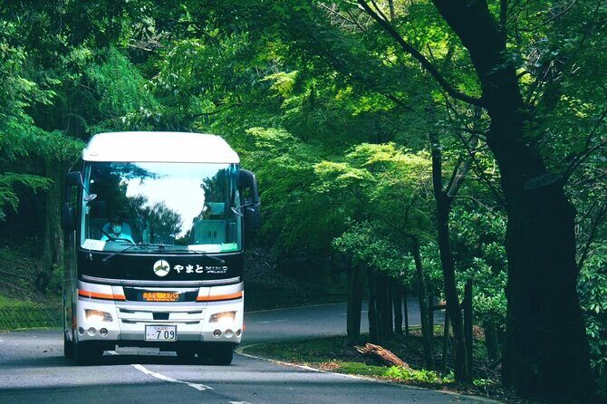 Perfect Nara Park Half-Day Bus Tour with English Speaking Guide - FAQs