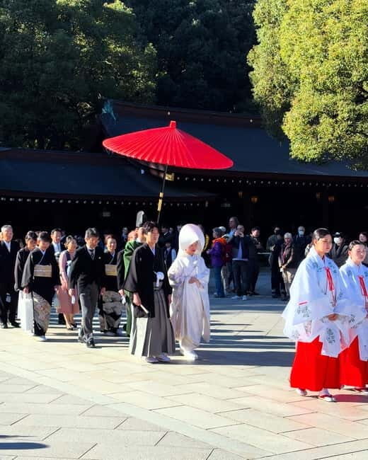 Perfect Start for your Japan Trip - Private Tour in Tokyo - What You Can Expect from the Tour