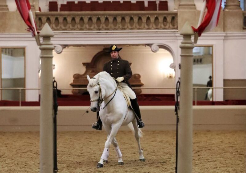 Performance Of The Lipizzans At Spanish Riding School - Who Should Consider This Experience?