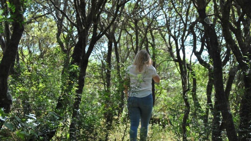 Perfugas: Green Mindfulness Walk - FAQ