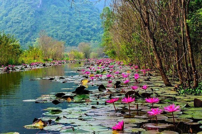 Perfume Pagoda Full day trip - The Sum Up: Is the Perfume Pagoda Full Day Trip Worth It?