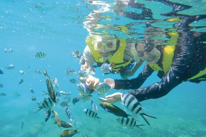 Perhentian Island Snorkeling Day Trip from Kuala Besut Jetty - Who Is This Tour Best For?