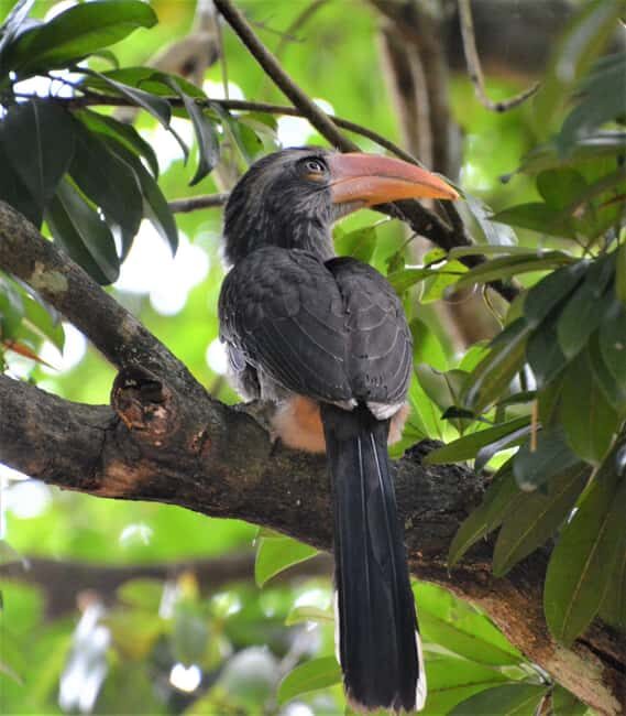 Periyar 02- Days Tour with Nature Walk and Elephant Bath - Arriving in Kerala and Starting the Adventure