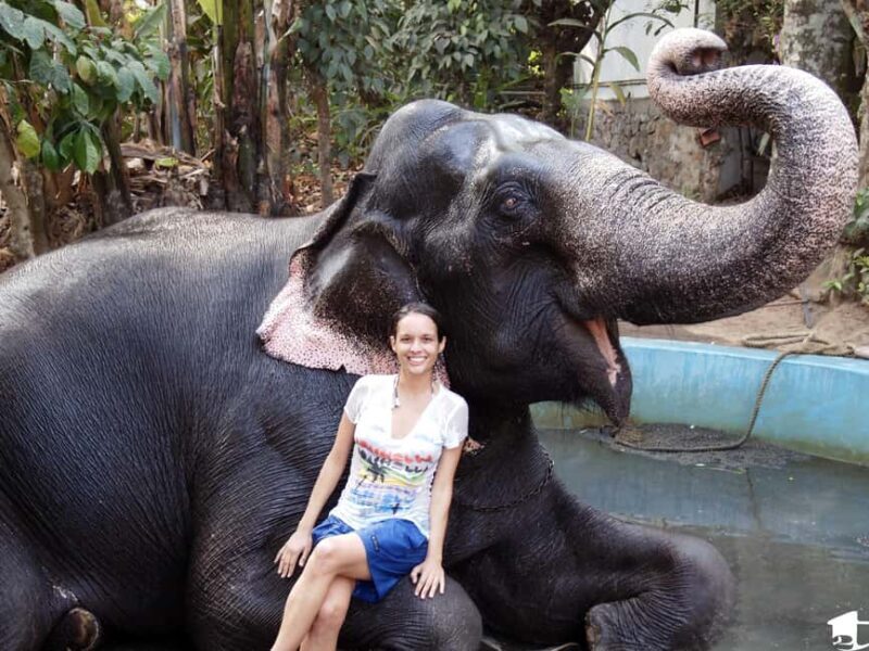 Periyar 02- Days Tour with Nature Walk and Elephant Bath - Day One: Wildlife, Spices, and Cultural Flair