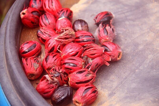 Periyar from Cochin - a Two Day Tour - The Sum Up