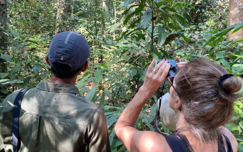 Periyar River Bamboo Rafting Tour from Kochi - The Value and Who It’s Best For