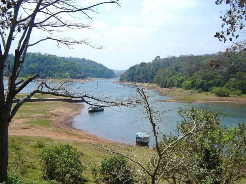 Periyar Wildlife Sanctuary Tour (02 Nights / 03 Days) - Who Would Love This Tour?