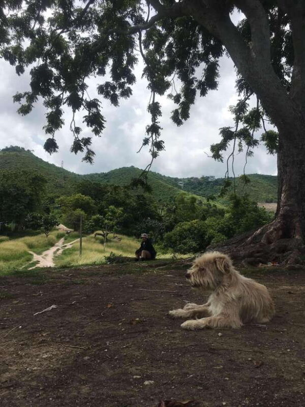 Personal Guide to Starbuk's Banawa, Cebu City - Detailed Breakdown of the Itinerary