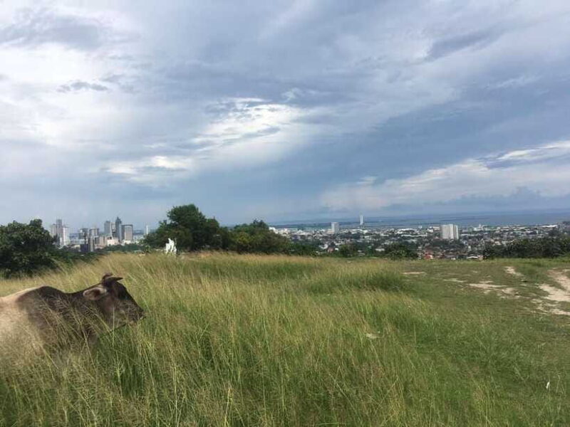 Personal Guide to Starbuk's Banawa, Cebu City - FAQs