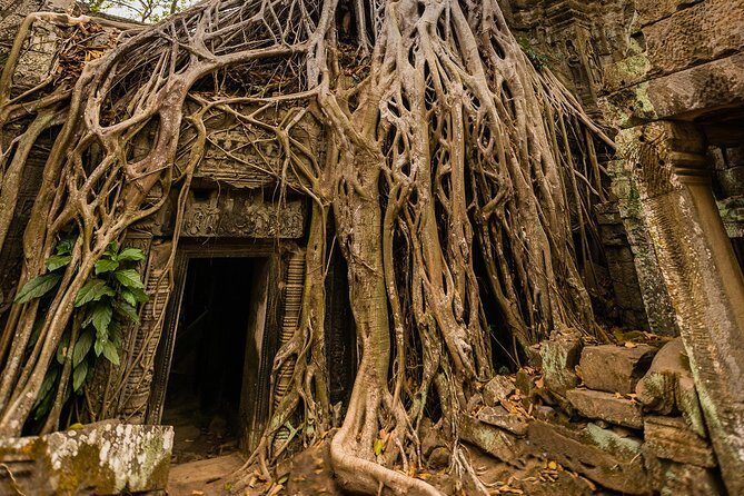 Personalised Angkor Wat Day Tour by an Air-conditioned Car - The Experience: What to Expect on the Day