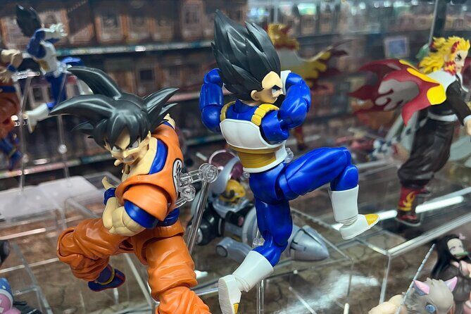 Personalized Anime Tour in Osaka - What to Expect from the Tour