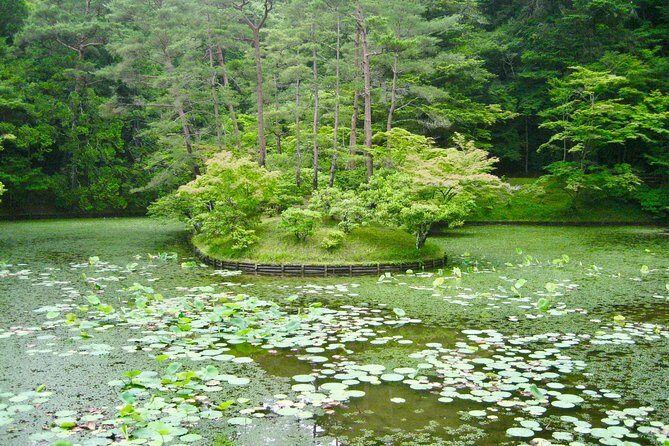Personalized Half-day Tour in Kyoto for your family and friends. - Final Thoughts
