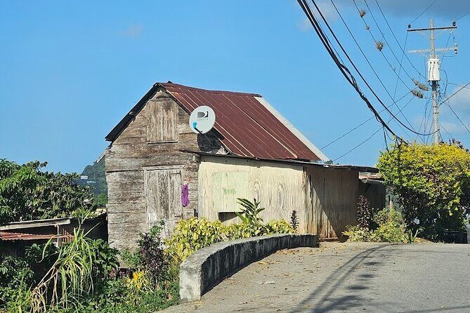 Personalized Private Tour The Paramin Hills - Who Will Love This Tour?