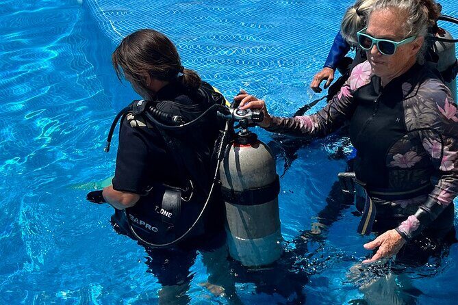 Personalized Snorkeling and Diving Experience in Riviera Maya - FAQs