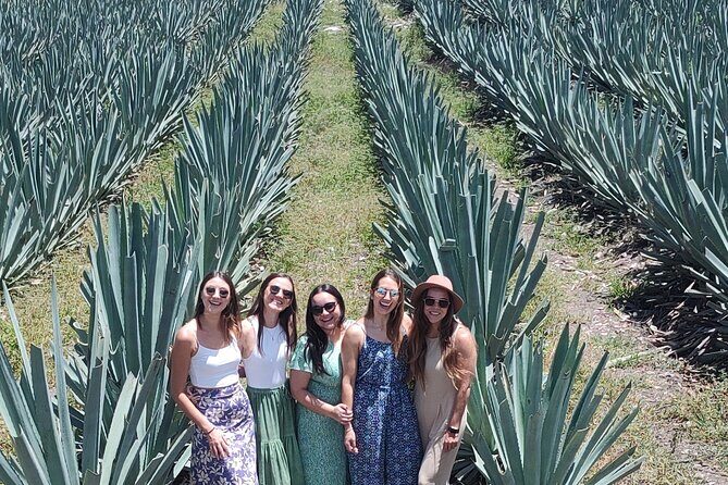 Personalized Tour to Hierve el Agua and Mezcal Distillery - The Sum Up