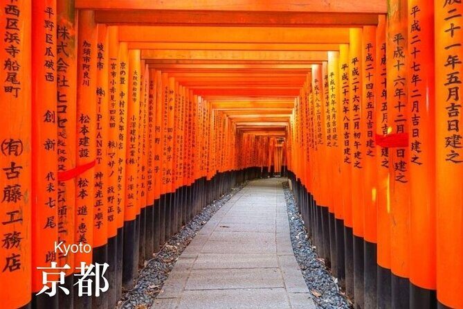 Personalized Travel Support for International Travelers in Japan - Why Travelers Will Love This Service