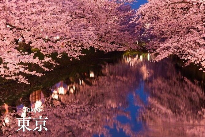 Personalized Travel Support for International Travelers in Japan - Authentic Experiences Through Local Knowledge