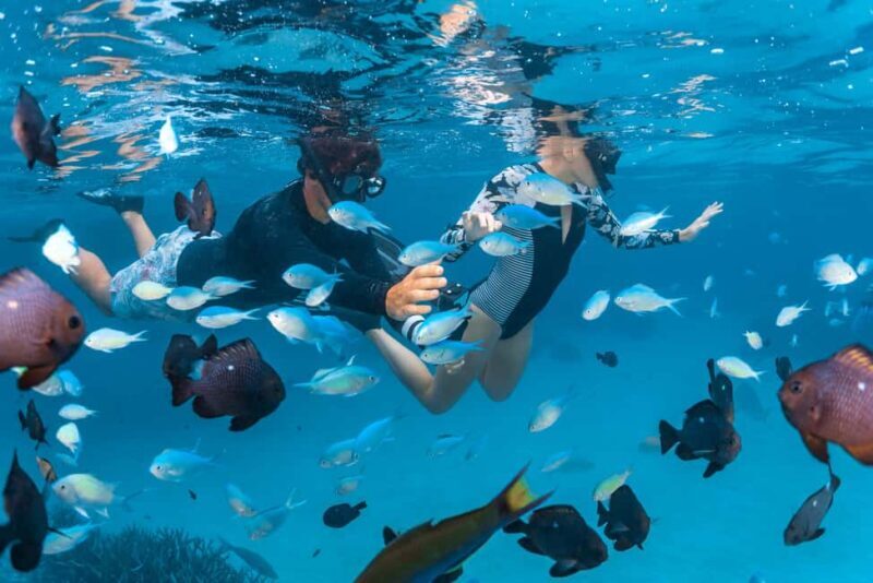 Perth: 7 Day Exmouth Explorer & Ningaloo Reef Return Perth - A Deep Dive into the Itinerary