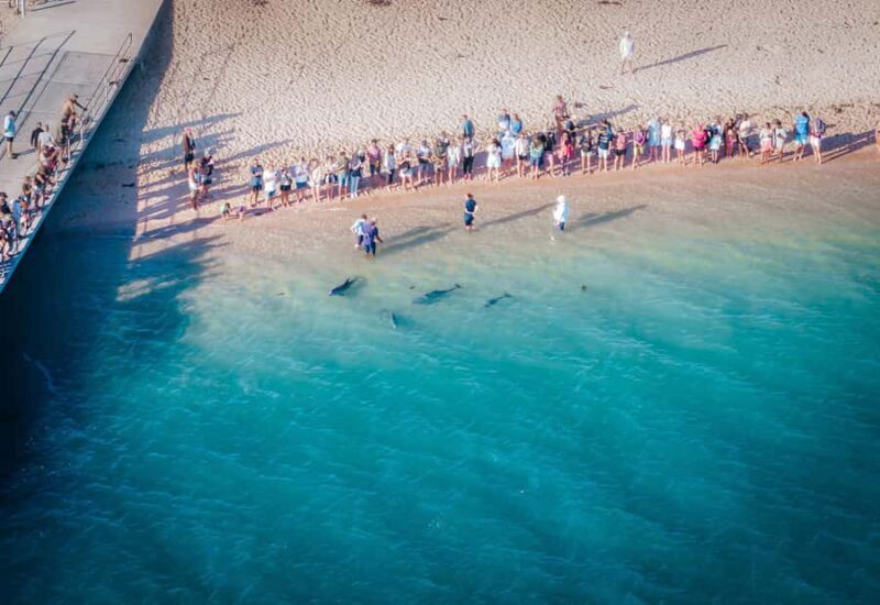 Perth: 8-Day Exmouth Tour with Ningaloo Reef Comfort Tour - Who Is This Tour Best For?