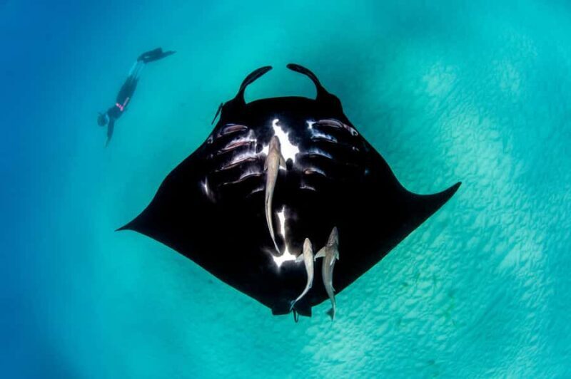 Perth: 8-Day Exmouth Tour with Ningaloo Reef Comfort Tour - Final Thoughts