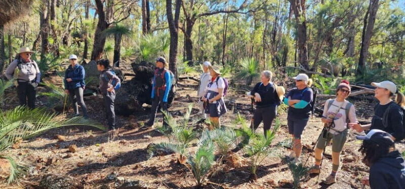Perth: Abyssinia Rock Hiking Experience - Key Points