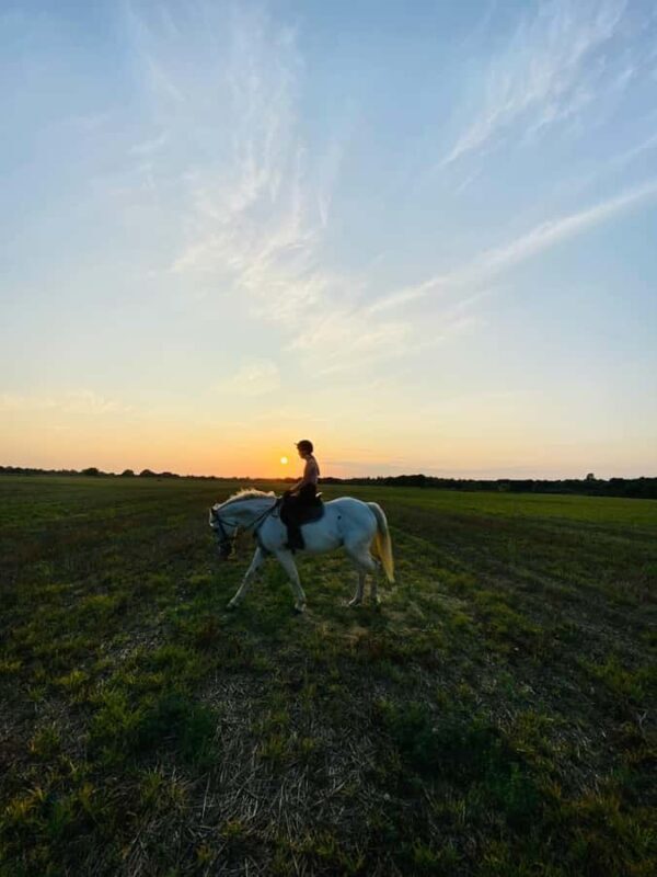 Perth, Australia: 1-Hour Scenic Horseback Trail Adventure - Exploring the Scenic Trail: What to Expect