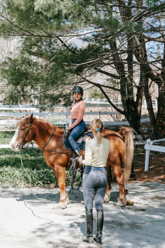 Perth, Australia: 1-Hour Scenic Horseback Trail Adventure - The Value and Considerations