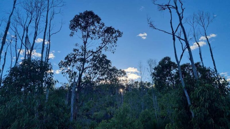 Perth: Bickley Valley Hiking Experience with Morning Tea - Starting Point and Logistics