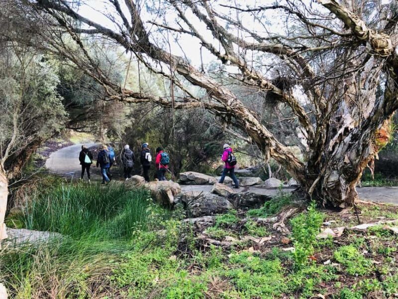 Perth: Bickley Valley Hiking Experience with Morning Tea - The Trail: Nature, History, and Views