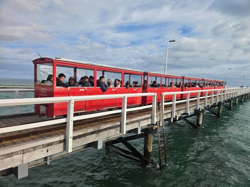 Perth: Busselton Jetty Full - Day Guided Tour - An Honest Look at the Experience