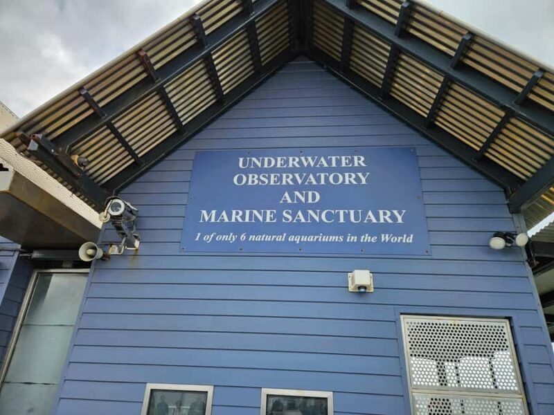 Perth: Busselton Jetty Full - Day Guided Tour - Authentic Feedback from Travelers