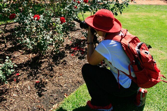 Perth City, Laneways and Hidden Gems Photographic Walk - The Real Draws of This Tour