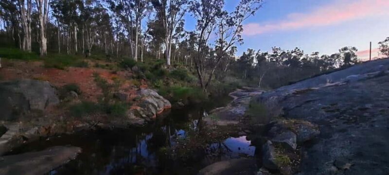 Perth: Darling Range Twilight Wander - The Value of This Experience