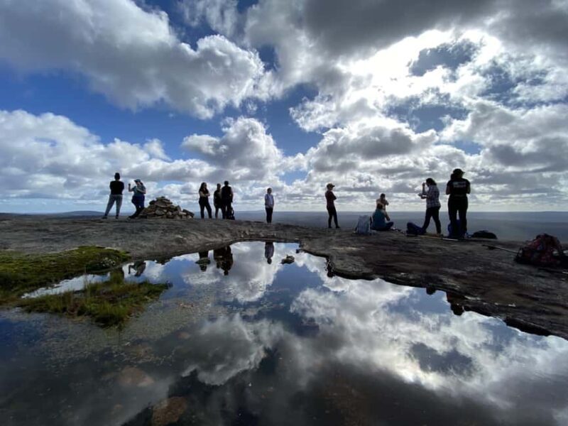Perth: Darling Range Twin Peaks Hike with Morning Tea - Who Will Love This Tour?