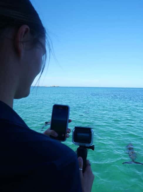 Perth: Dolphin, Sealion & Wildlife Cruise with Lunch - FAQ