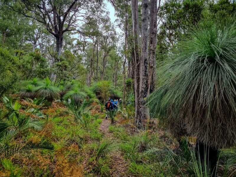 Perth: Dwellingup Train, Trails, and Woodfired Delights Tour - Scenic Hiking with a Forest Feast