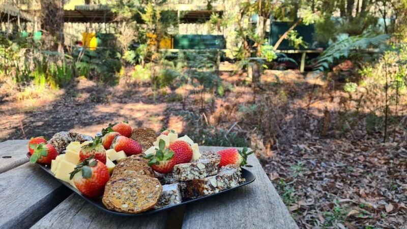 Perth: Dwellingup Train, Trails, and Woodfired Delights Tour - Practical Details and Value