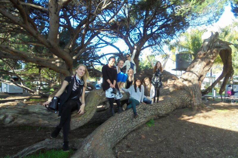 Perth: Full Day Swan Valley Cruise & Wine Tasting With Lunch - Sweet and Savory Stops