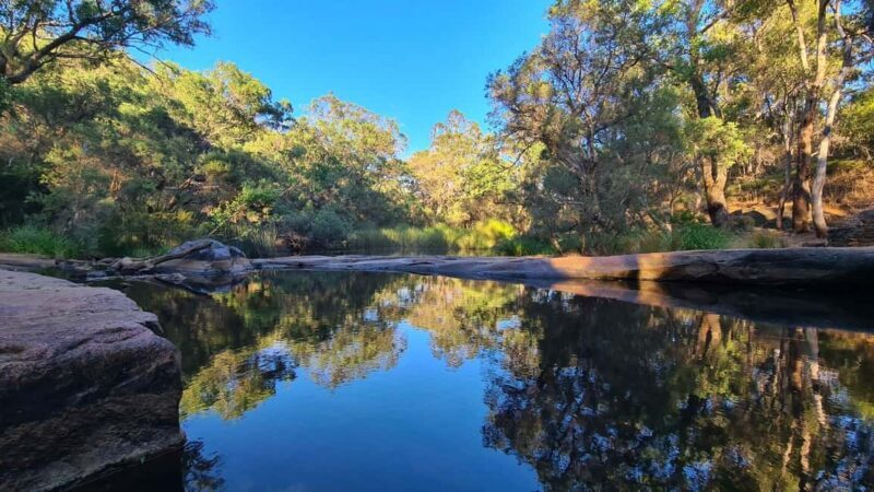 Perth: Hidden Gems of Perth Hiking Tour with Lunch - Support and Comfort During the Adventure