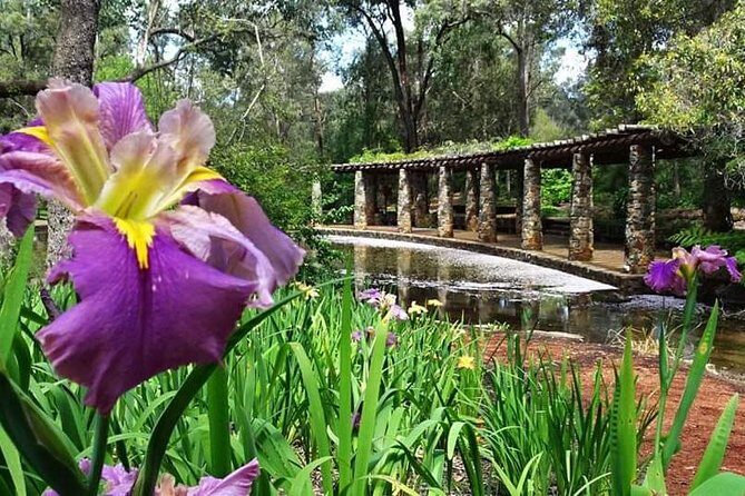 Perth Hills Explorer Private Day Tour - Introduction: A Personalized Taste of Perth Hills