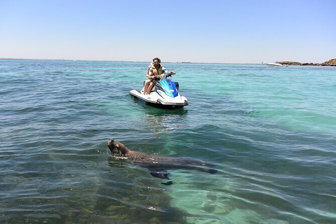 Perth Jet Ski Tour - A Closer Look at the Perth Jet Ski Tour