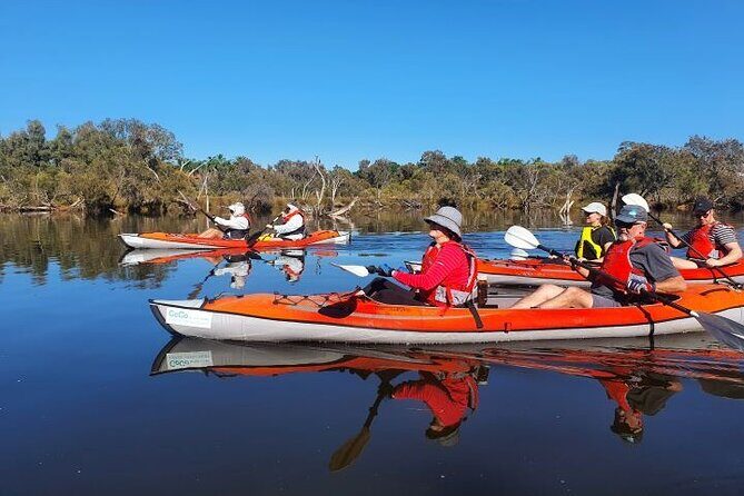 Perth Kayak Tour - Canning River Wetlands - Authentic Experiences Highlighted in Reviews