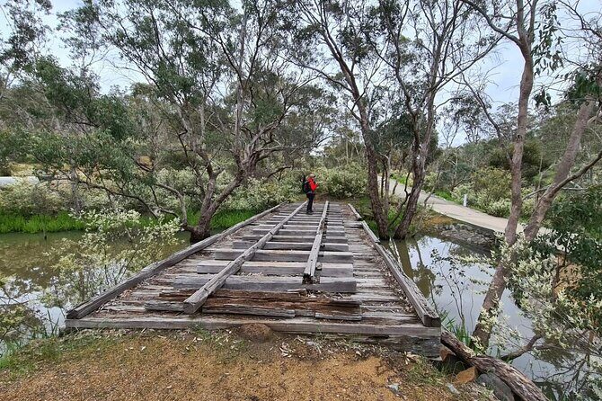 Perth Kayak Tour - Canning River Wetlands - The Sum Up: Who Will Love This Tour?