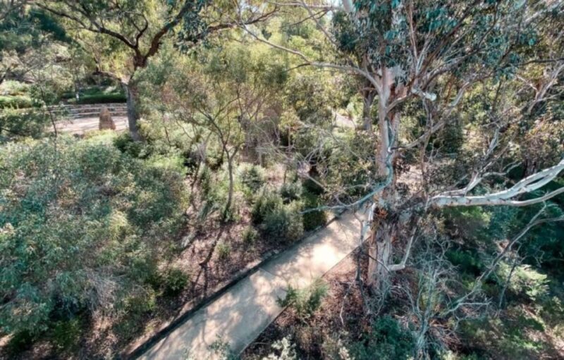 Perth: Kings Park Botanicals & Beyond Guided Hike - Final Thoughts