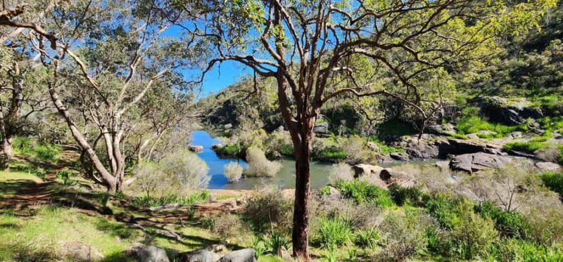 Perth: Kitty's Gorge Hike with Morning Tea - Detailed Itinerary Breakdown
