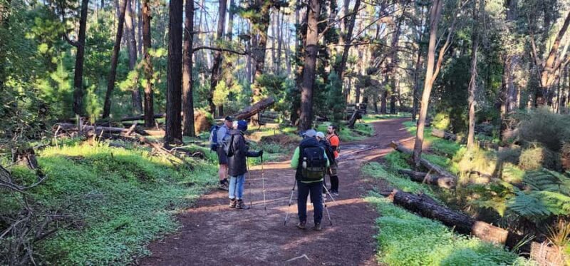 Perth: Kitty's Gorge Hike with Morning Tea - FAQ